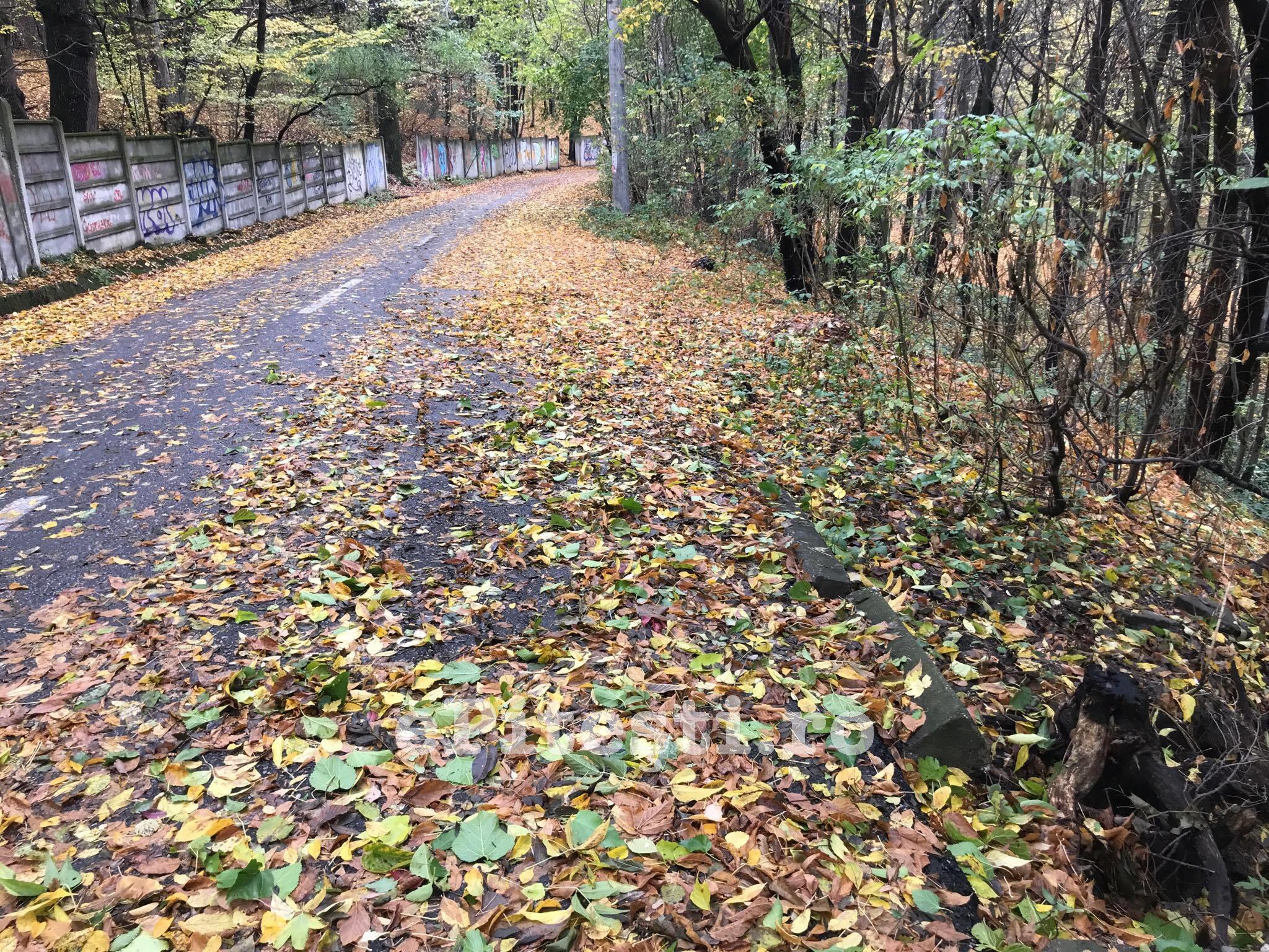 (VIDEO) PERICOL MARE ÎN PARCUL TRIVALE! | epitesti