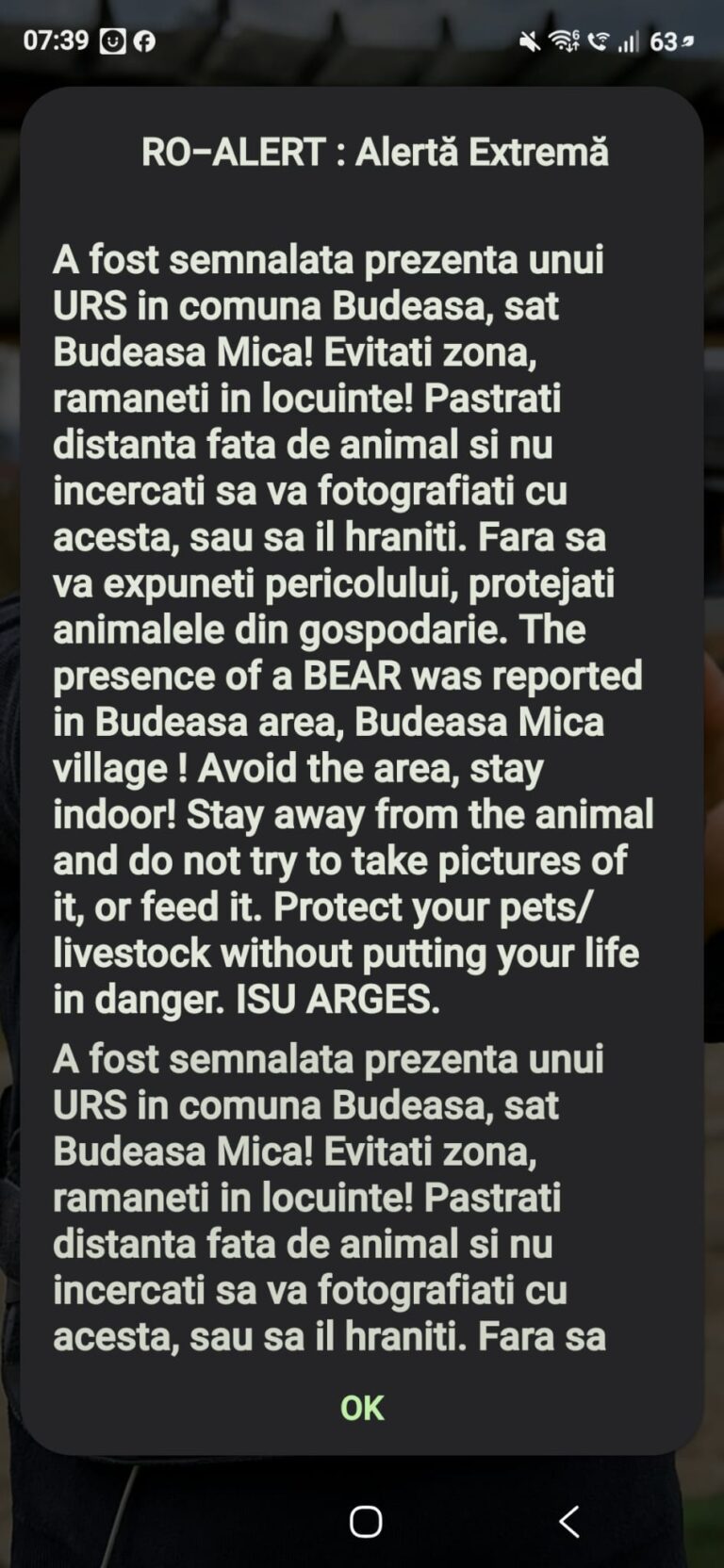 Argeș: S-a emis RO-Alert! Urs, acum, printre locuințele